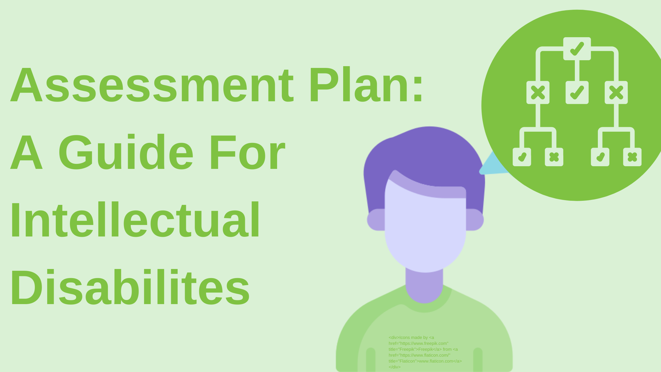 Assessment Plan: A Guide for Evaluating Intellectual Disabilities